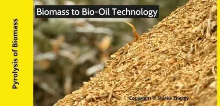 Biomass to Bio Oil, Wood to Oil Conversion Technology